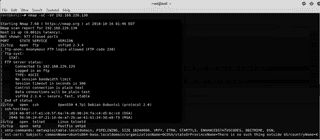 Inside Nmap, the world’s most famous port scanner | Pentest-Tools.com Blog