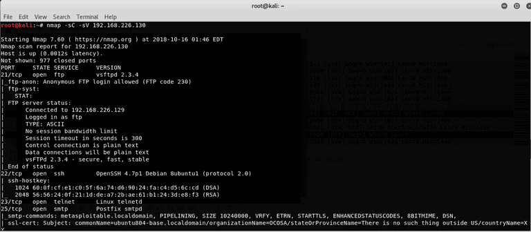 Inside Nmap, the world’s most famous port scanner | Pentest-Tools.com Blog