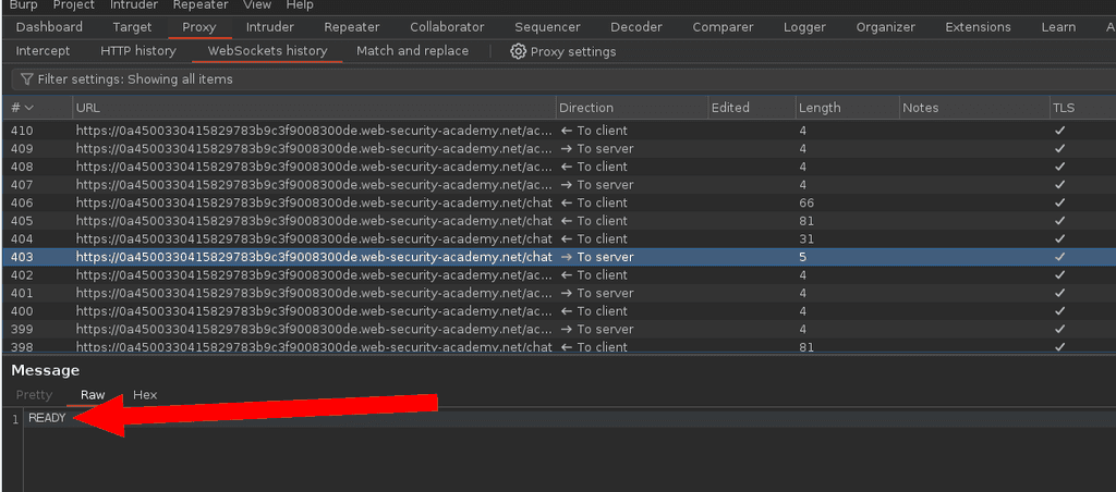 Cross-site WebSocket hijacking: understanding and exploiting CSWSH ...