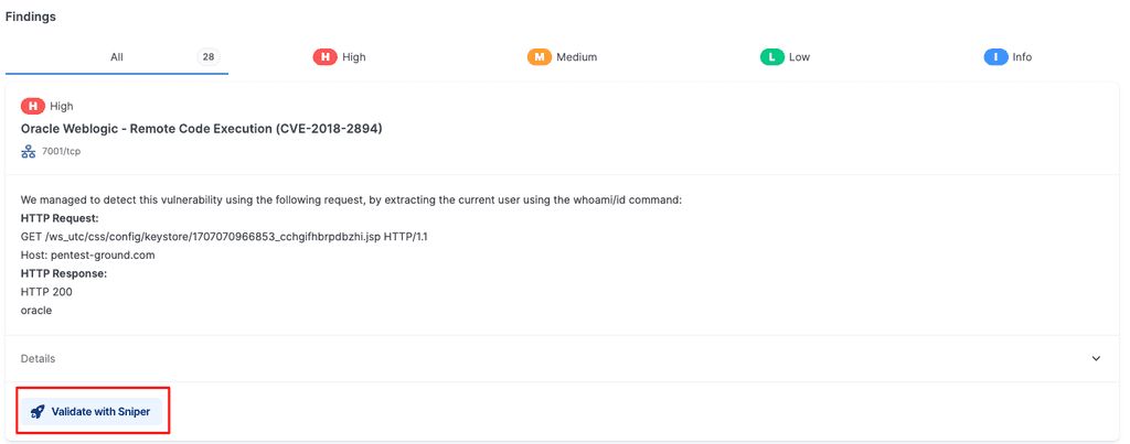 Network Vulnerability Scanner Documentation Pentest Tools Documentation